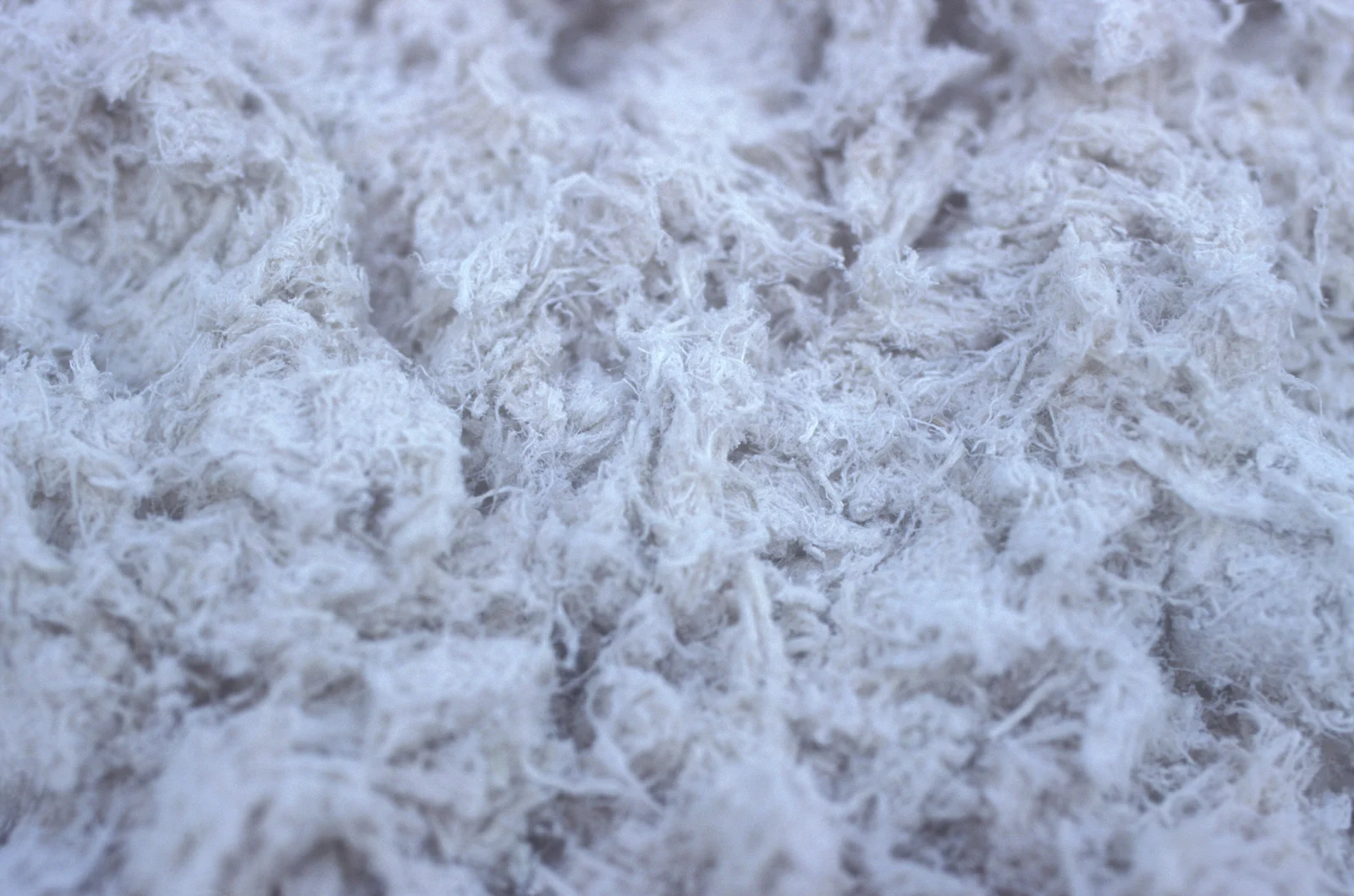 Why Every Mission Contractor Needs an Asbestos Waste Disposal Plan