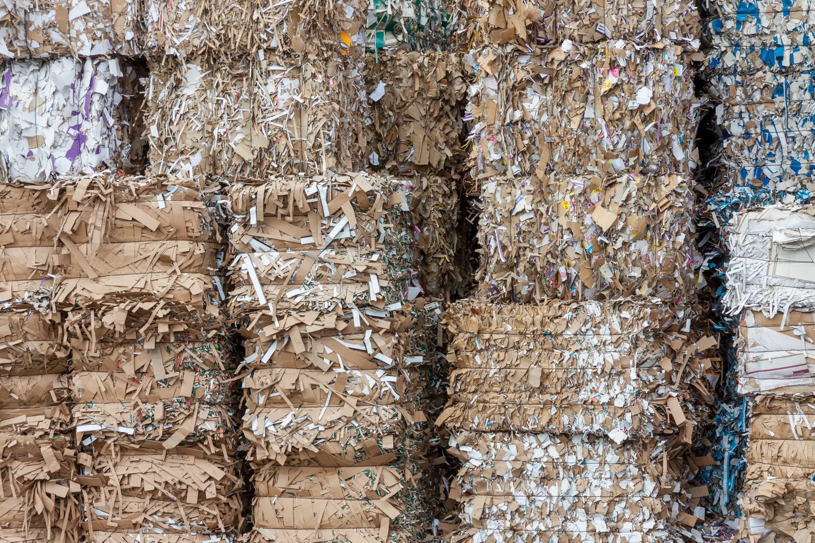 Top Paper Recycling Mistakes Richmond Businesses Should Avoid
