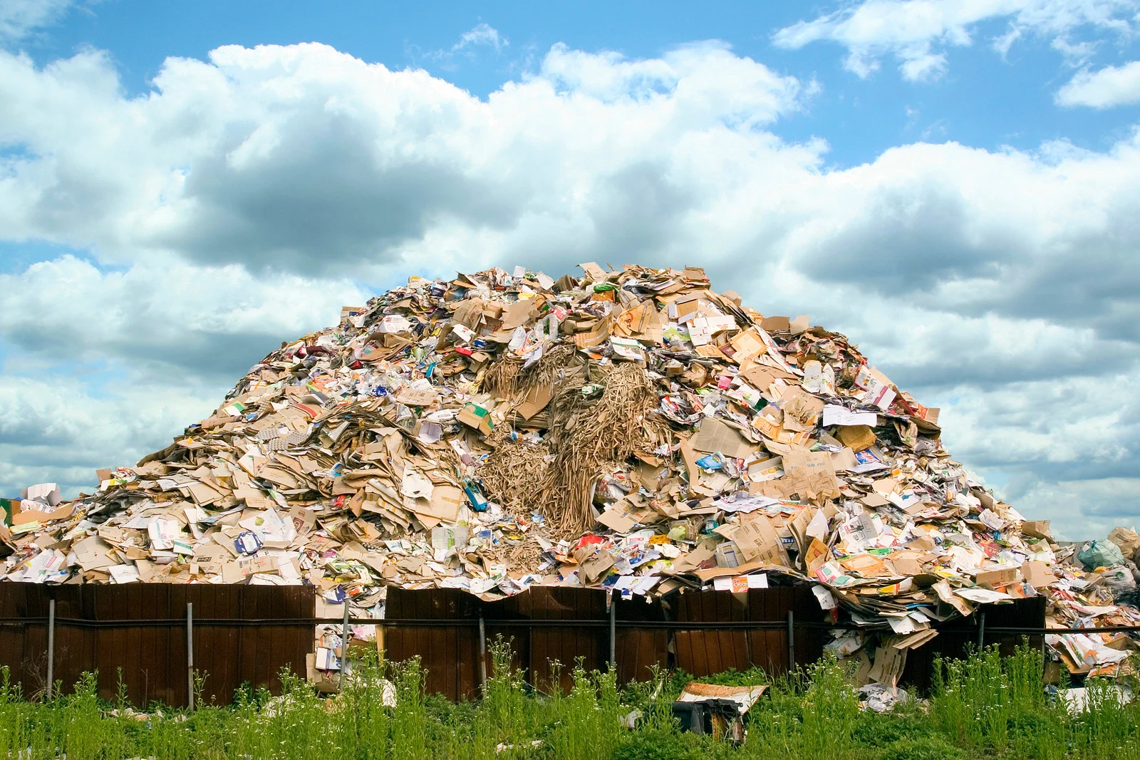 Office Paper Recycling Tips + Canadian Empire Solutions